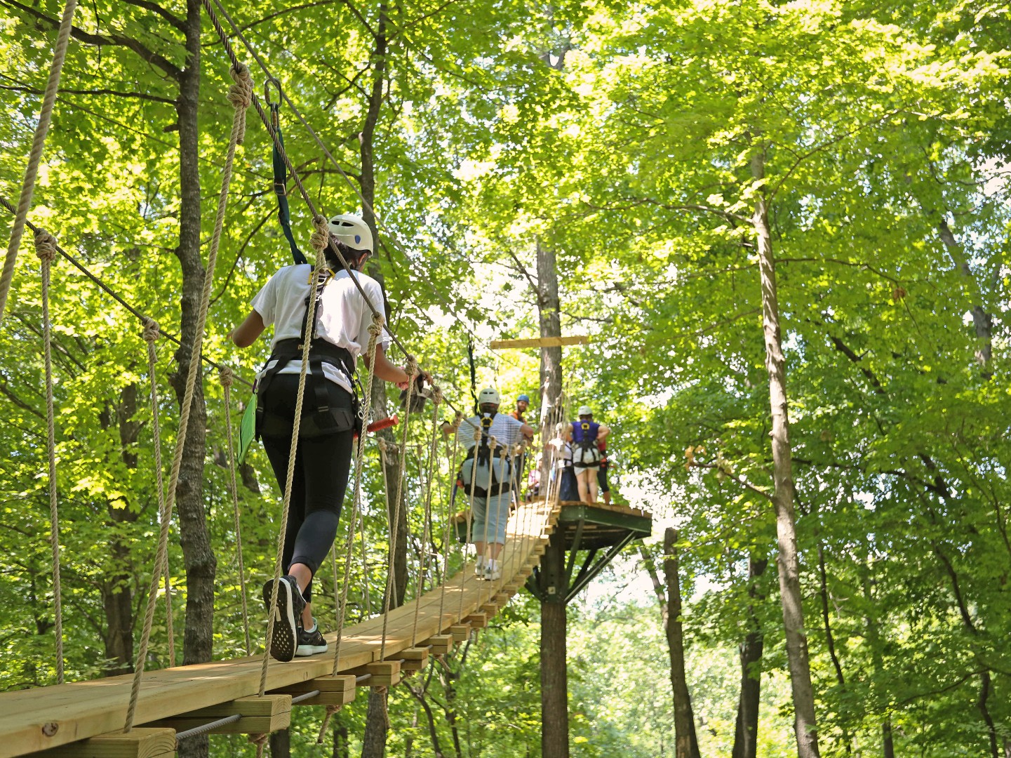 grafton zipline adventures 14 w main st grafton illinois 62037 details ...